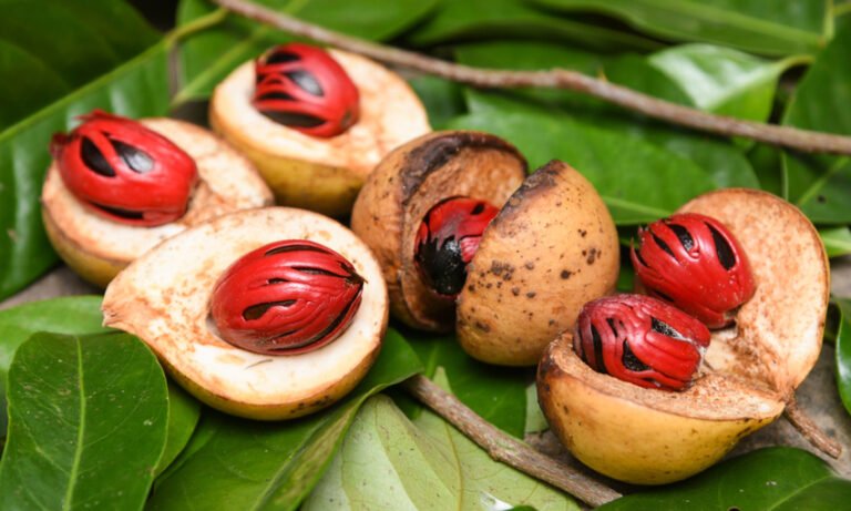 Le proprietà della noce moscata, un seme prezioso - Ricettefacili.info